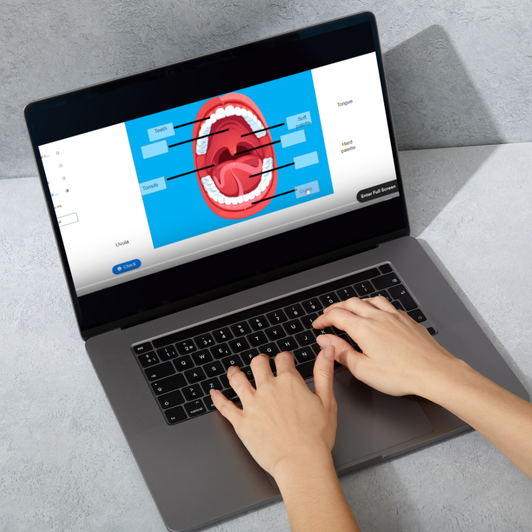 Interactive Learning - Go Educate Institution